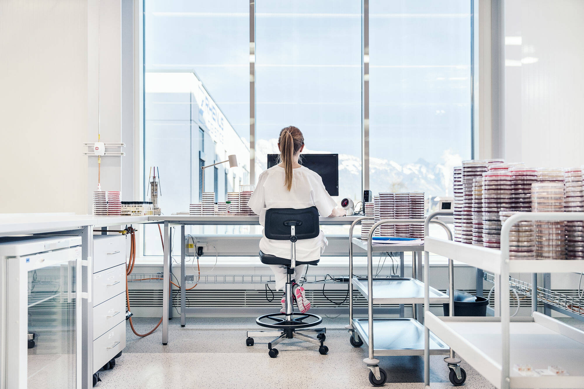 Mikrobiologie Labor Dr. Risch