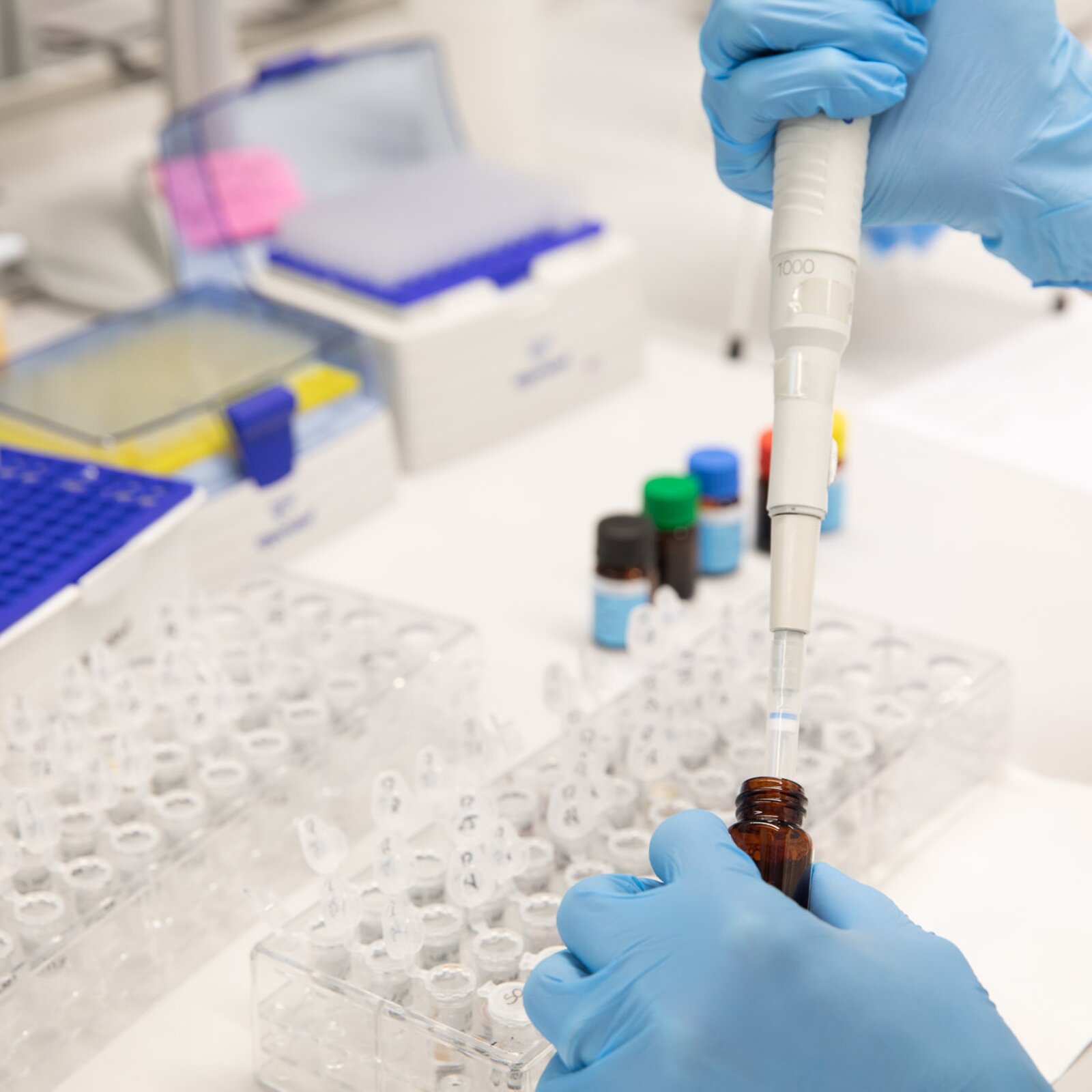 Dr. Risch: Il vostro laboratorio – oggi e domani